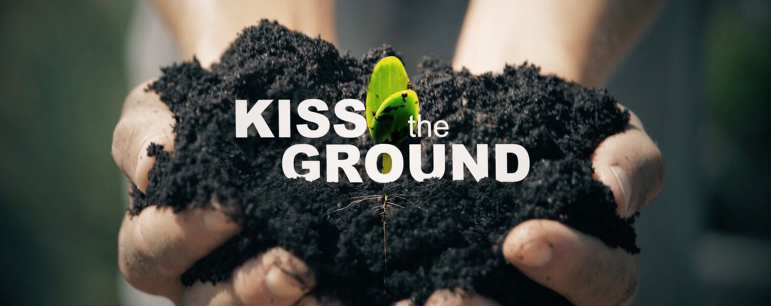 Manifesto Market - Kiss the Ground | Sustainability Festival 2021